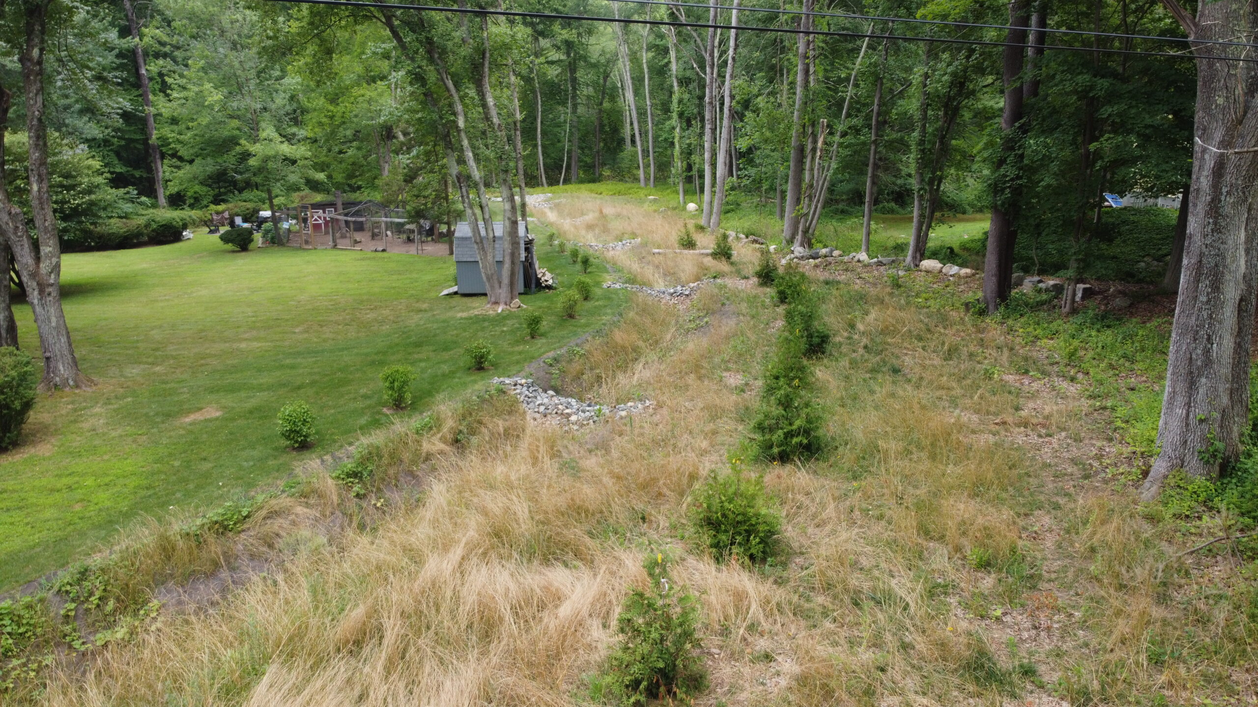 Fixing Drainage Channels and Clearing out Invasives! - EOHWC