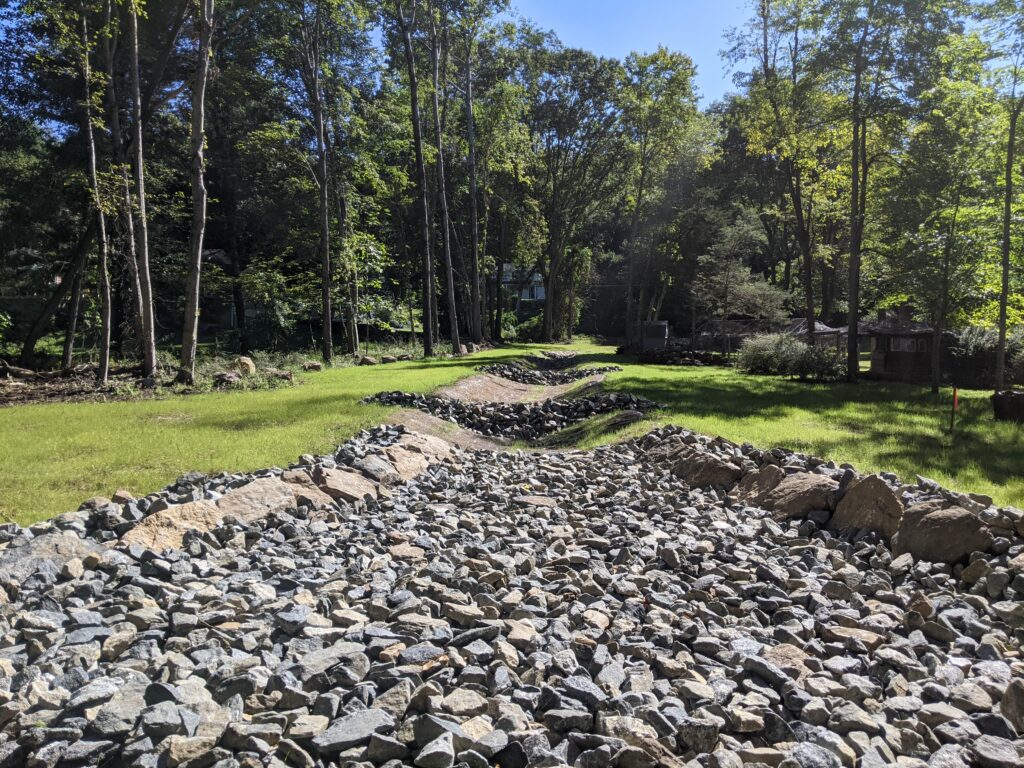 Fixing Drainage Channels and Clearing out Invasives! - EOHWC